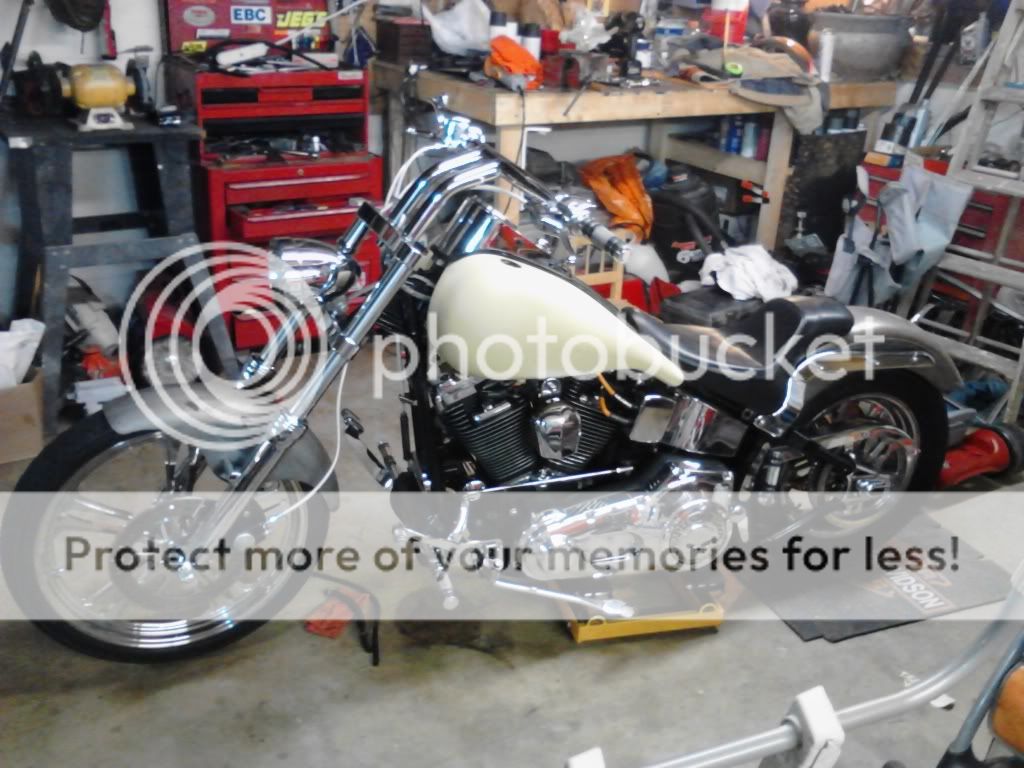 Rear fender for 99 FXSTC...... | V-Twin Forum