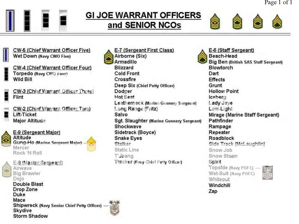Question about Military Ranks/Grades... - Page 4 - HissTank.com